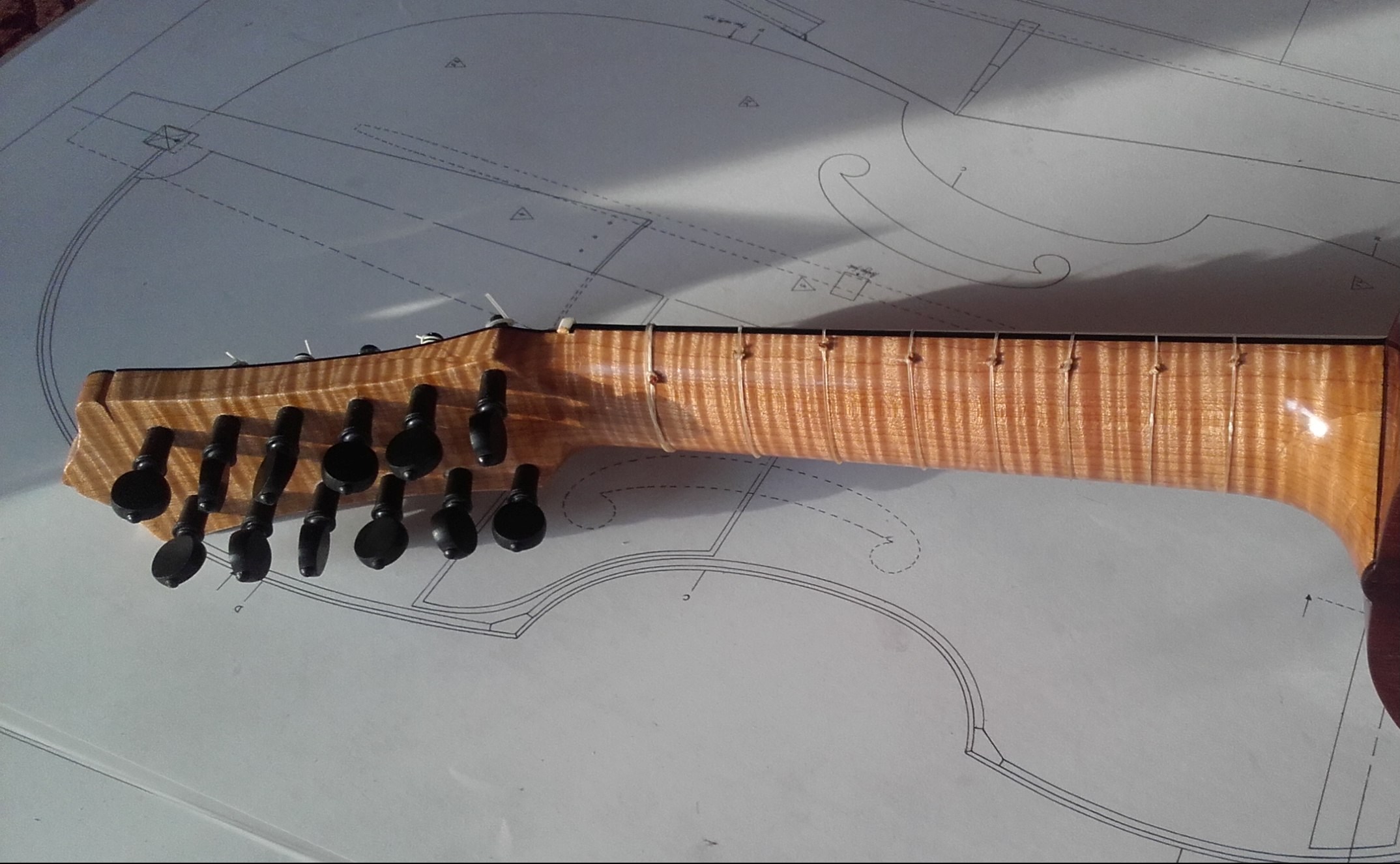 Instruments for Sale – Andrew Edwards